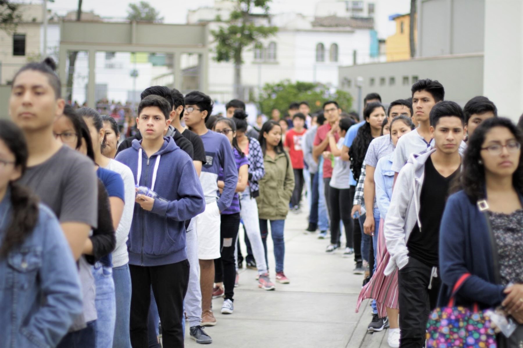 Proponen ley del primer empleo juvenil con incentivos tributarios a ...